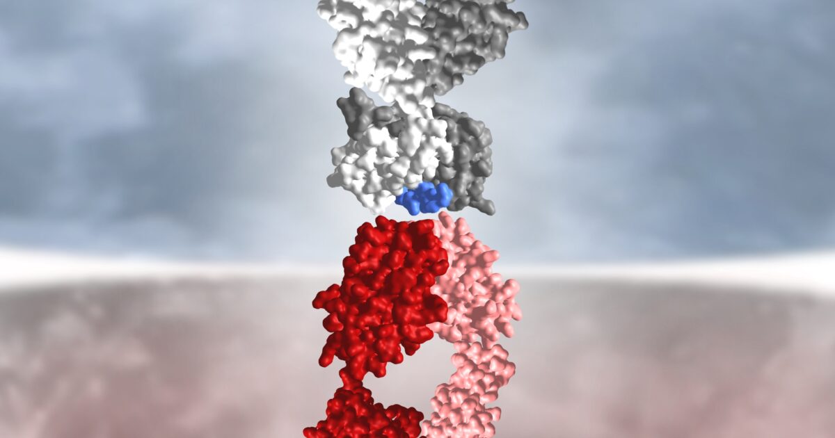 BioMed X Launches New T Cell Immunology Discovery Platform – BioMed X ...