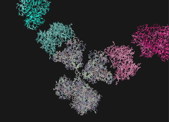 BioMed X Institute – We seed biomedical innovation